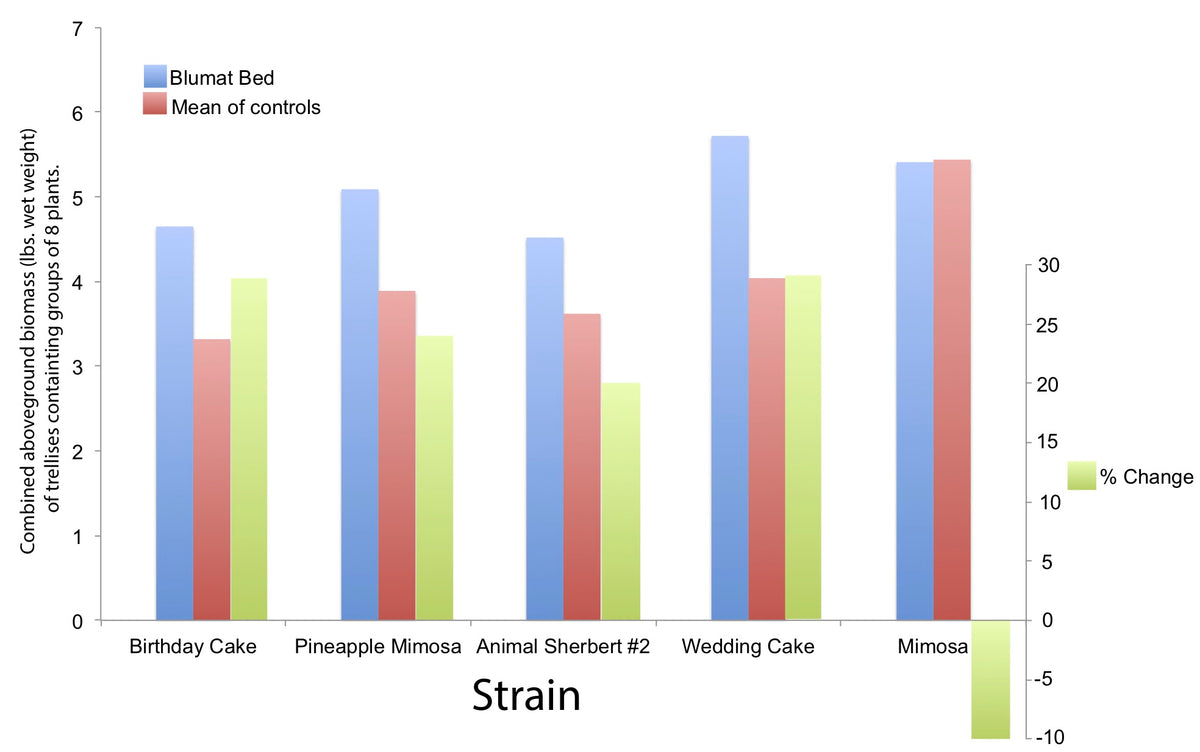 Measuring the yield of Cannabis sativa as a response to either automat ...