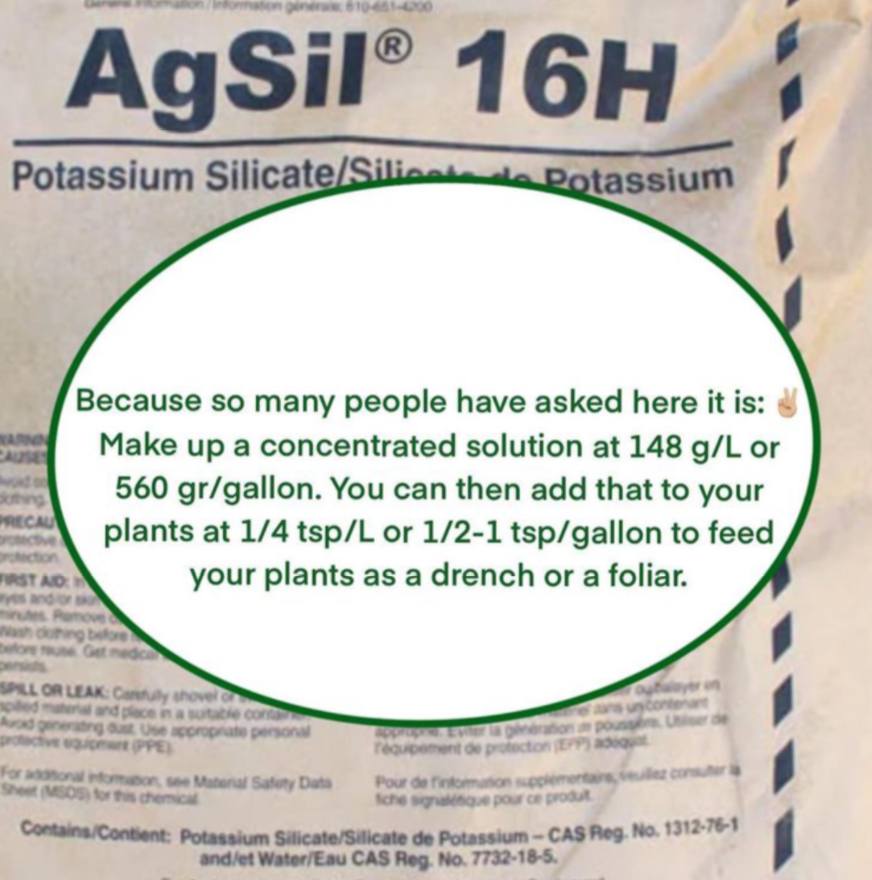 Agsil 16 H (Potassium Silicate) - FREE SHIPPING – KiS Organics